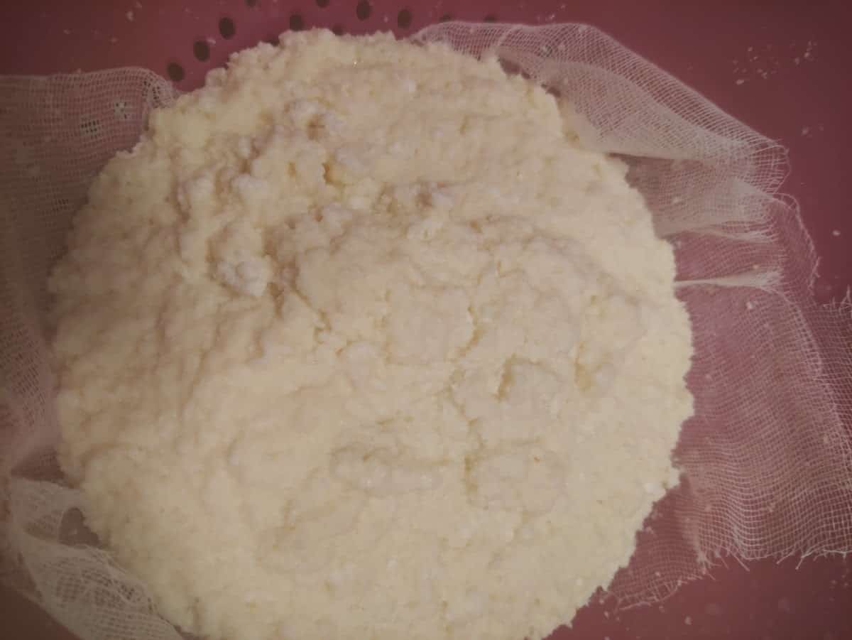 Homemade Polish Cheese Recipe [Domowy Ser Żółty] - Polish Foodies