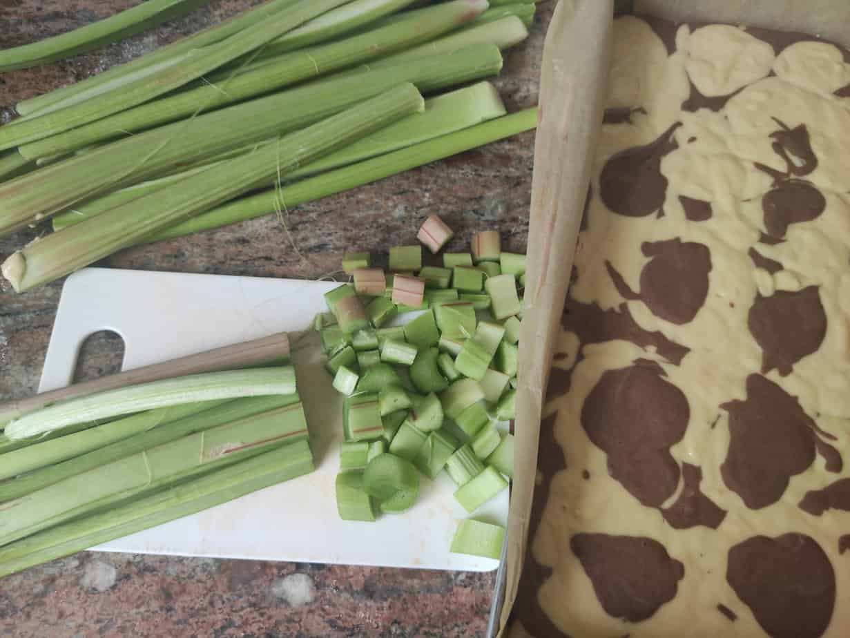 Polish Rhubarb Marble Cake Recipe -Ciasto Laciate z Rabarbarem - Polish ...