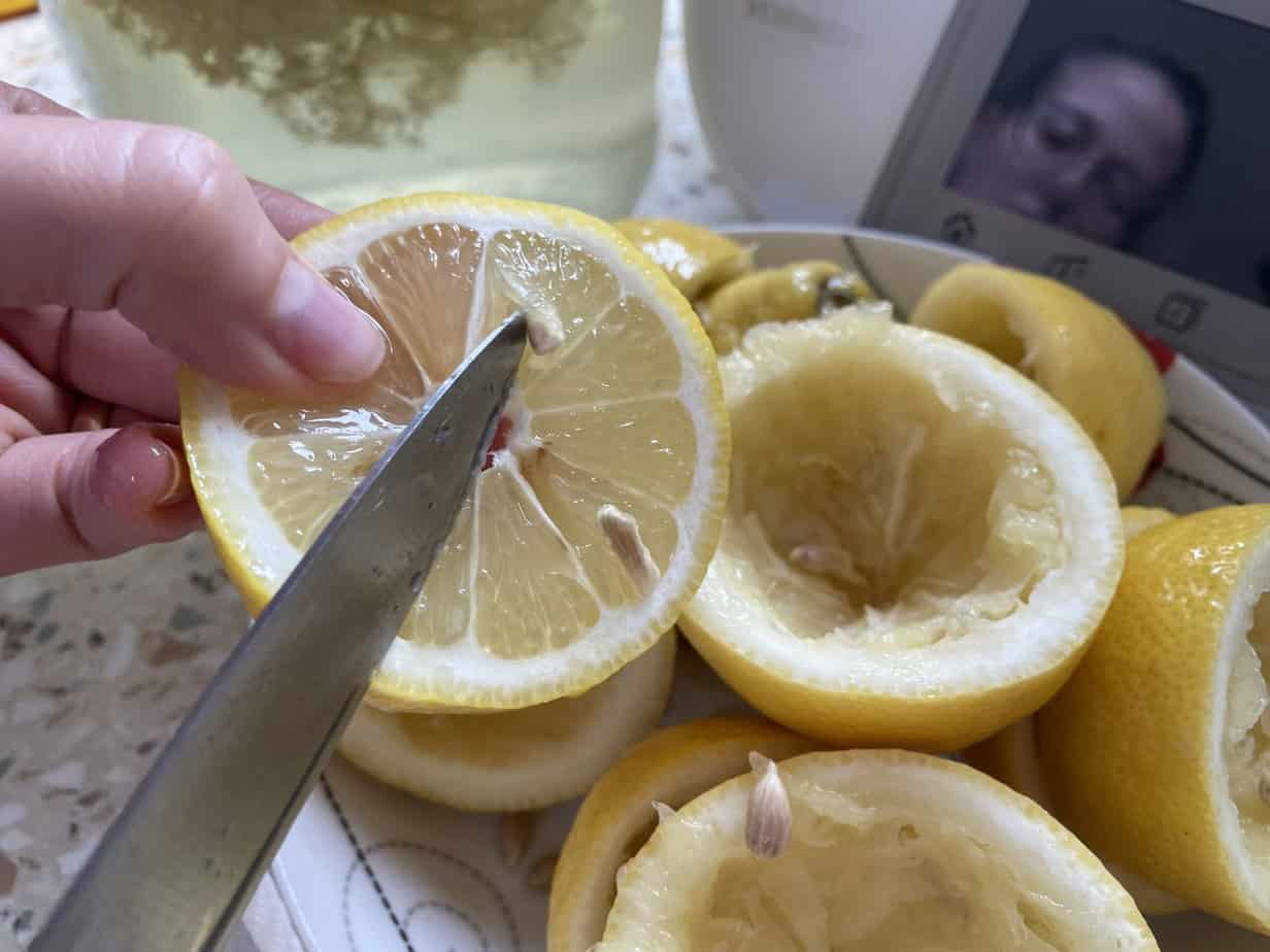 Polish Elderflower Lemonade Recipe - Lemoniada Z Kwiatów Czarnego Bzu ...