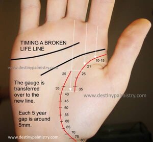Life Line Timeline Guide in Palmistry - Destiny Palmistry
