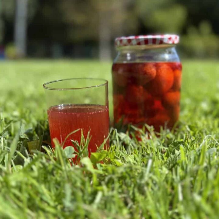 Easy Polish Kompot Recipe (Just Like Babcia's)