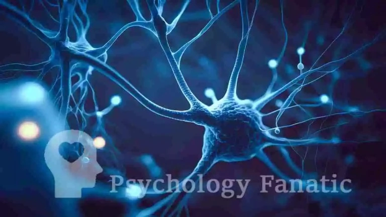 Emotional Patterns: Breaking the Cycle of Reactivity - Psychology Fanatic