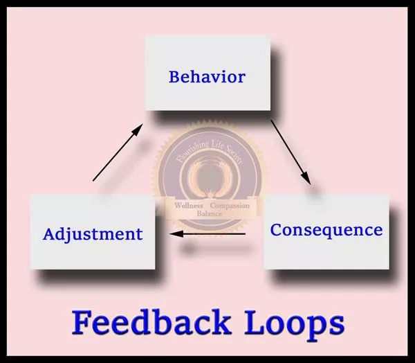 Understanding Feedback Loops: The Key to Successful Change - Psychology ...