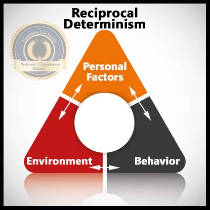 Reciprocal Determinism: A Key Concept in Social Learning Theory ...
