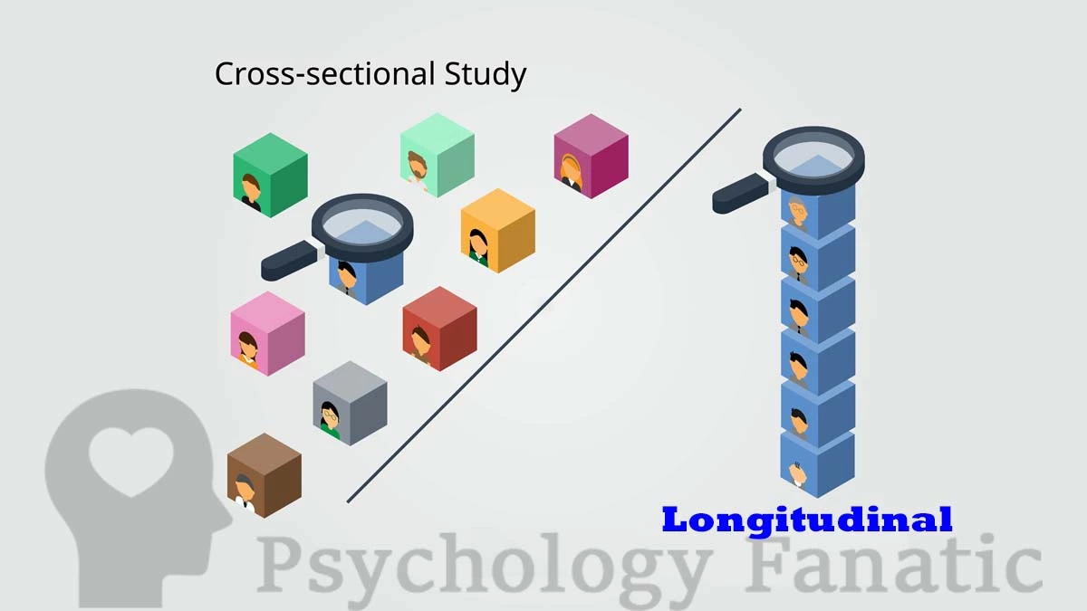 Longitudinal Study: Exploring Phenomena Over Time - Psychology Fanatic
