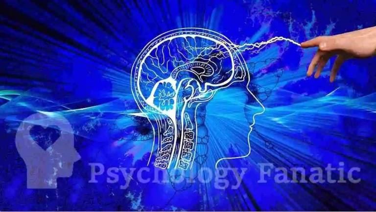 Applying the EVLN Model to Improve Organizational Dynamics - Psychology ...