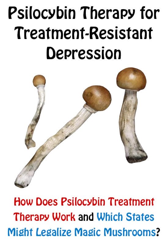Psilocybin Therapy and Legalization of Magic Mushrooms - Inspire Malibu
