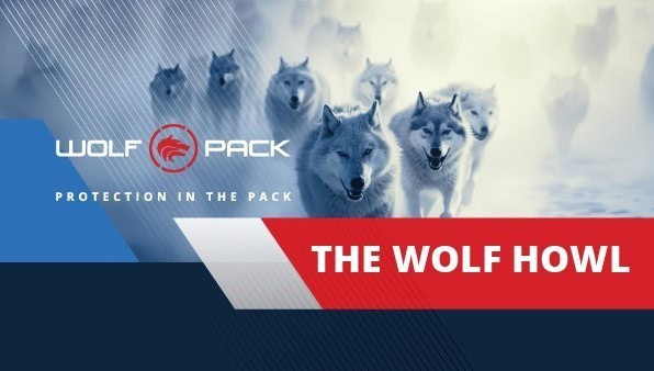 Wolfpack Information Risk - Cybersecurity