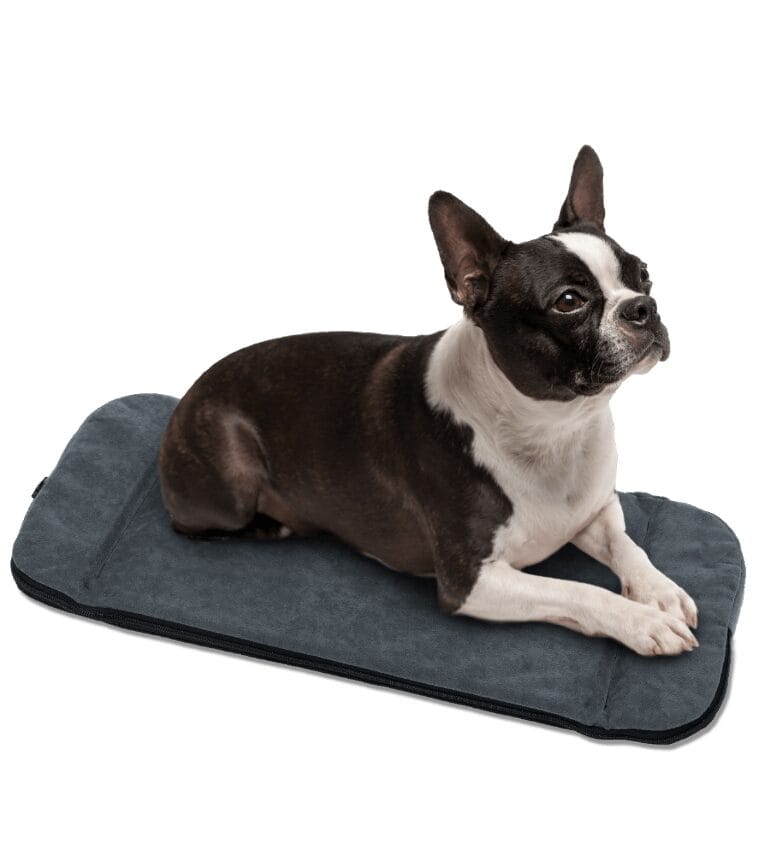 ASSISI LOOP LOUNGE® tPEMF SYSTEM: full body relief from pain and ...