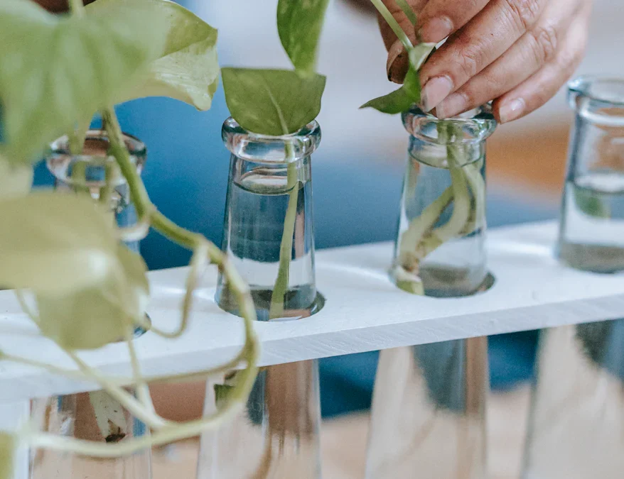 Plant Reproduction Methods: Pros & Cons