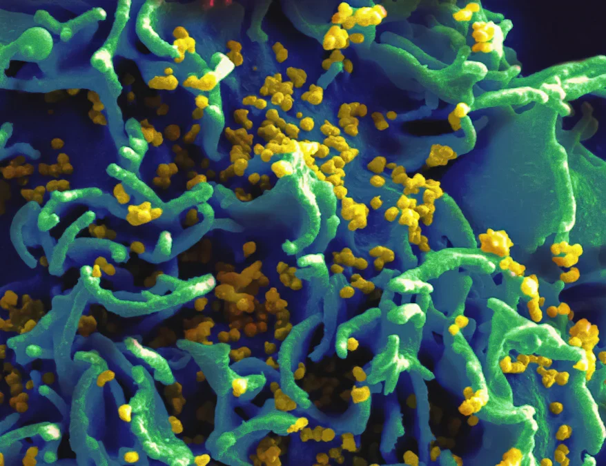 Types of Pathogens and Their Unique Characteristics