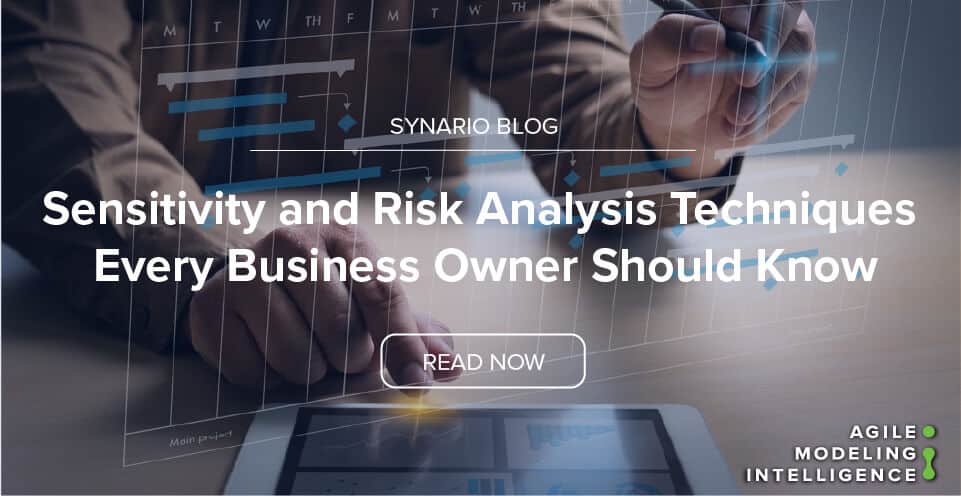 Sensitivity and Risk Analysis Techniques | Synario