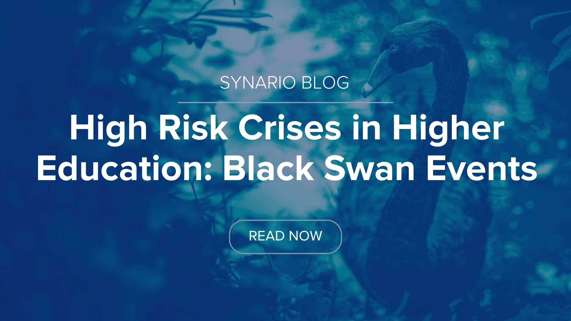 The Risk of Higher Education Crises: Black Swan Events