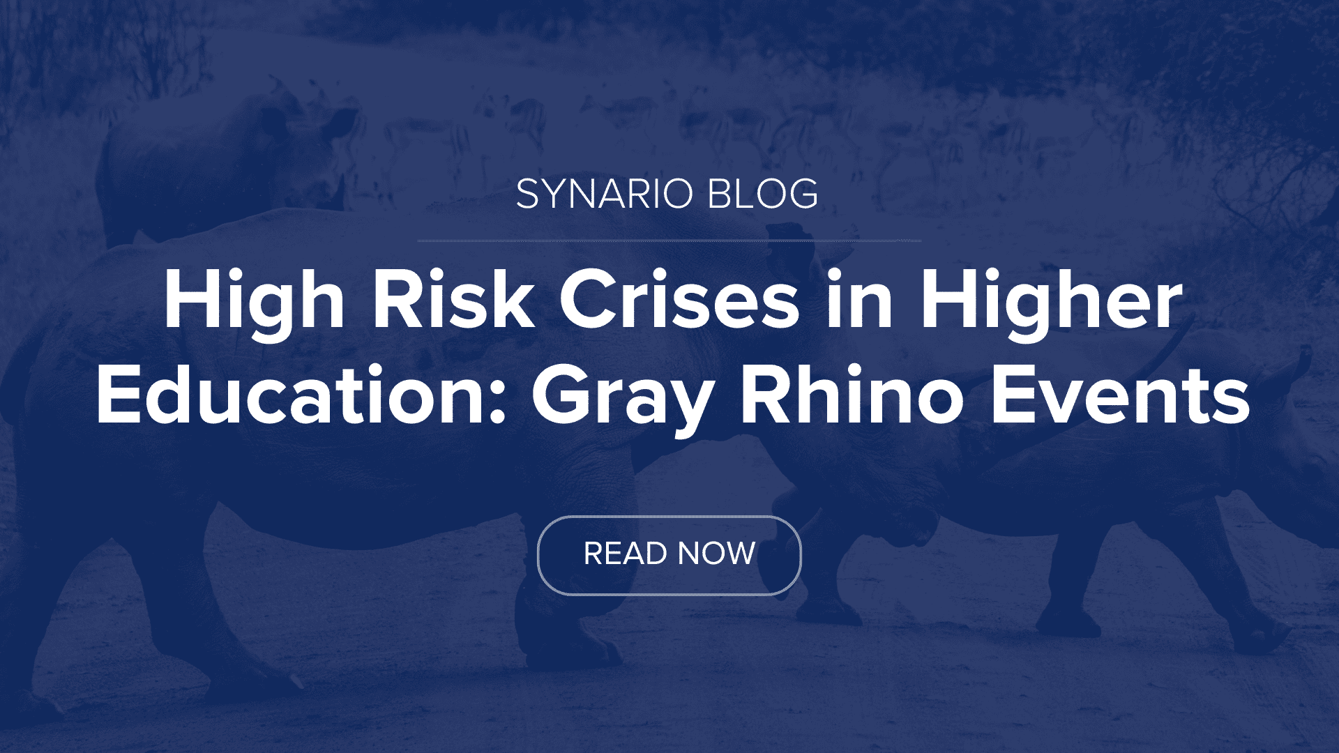 An In-Depth Scenario Analysis Example | Synario Financial Modeling Blog An In-Depth Scenario Analysis Example | Synario Financial Modeling Blog
