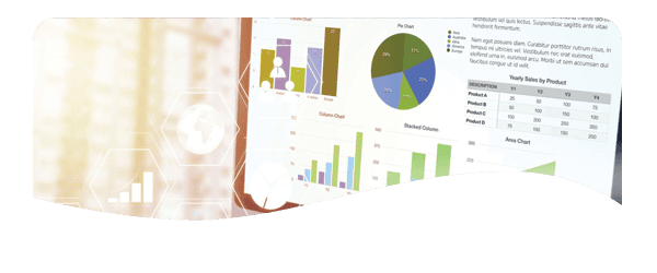 Synario Financial Modeling Software Platform for Analysts