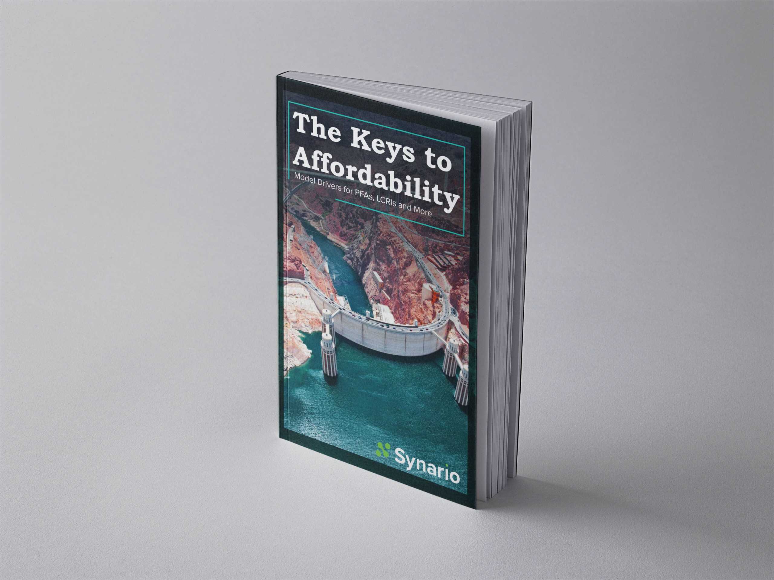 Scenario Modeling: What You Need to Know - Synario