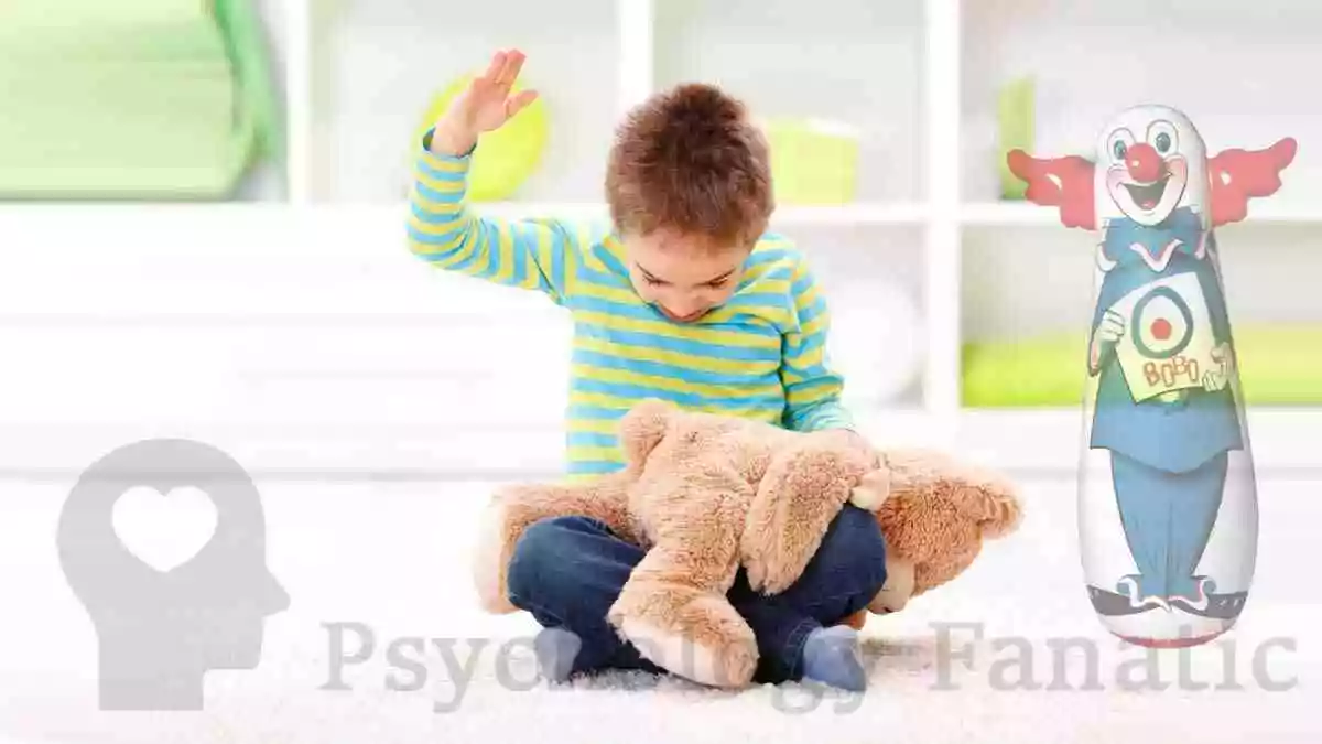 Unraveling Aggression: The Bobo Doll Studies - Psychology Fanatic