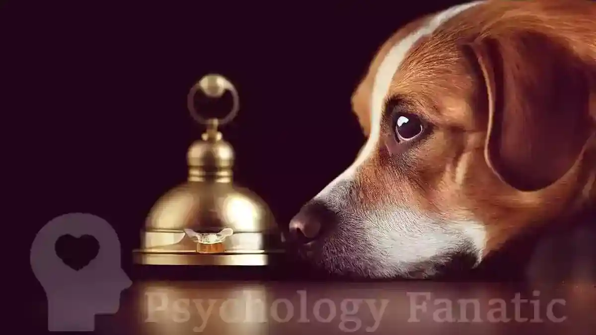 Understanding Pavlov's Dog Experiments: The Science of Classical ...